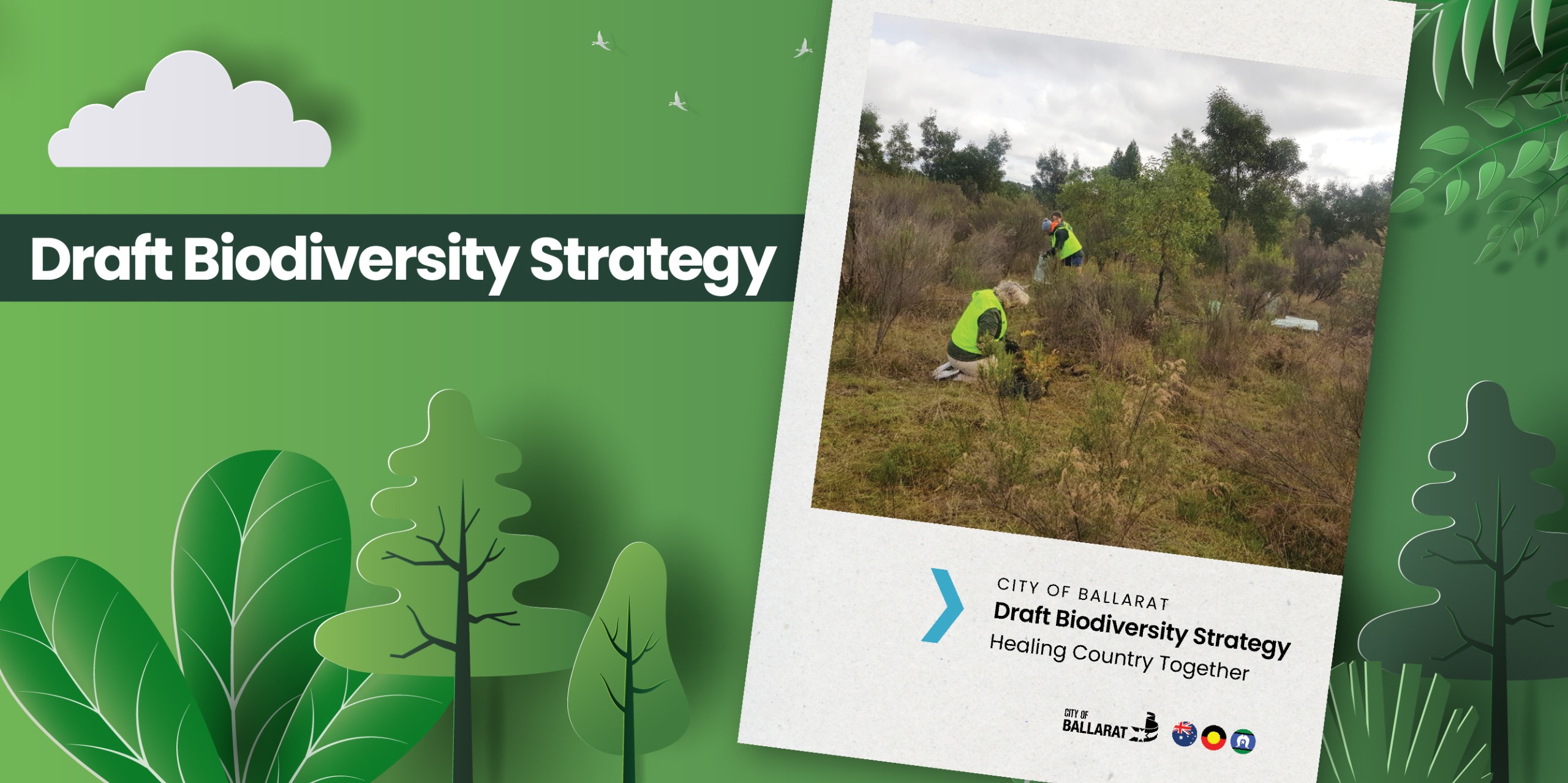 Draft Ballarat Biodiversity Strategy - Healing Country Together | MySay ...